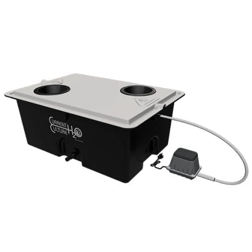 Current Culture UC Solo Pro 2
